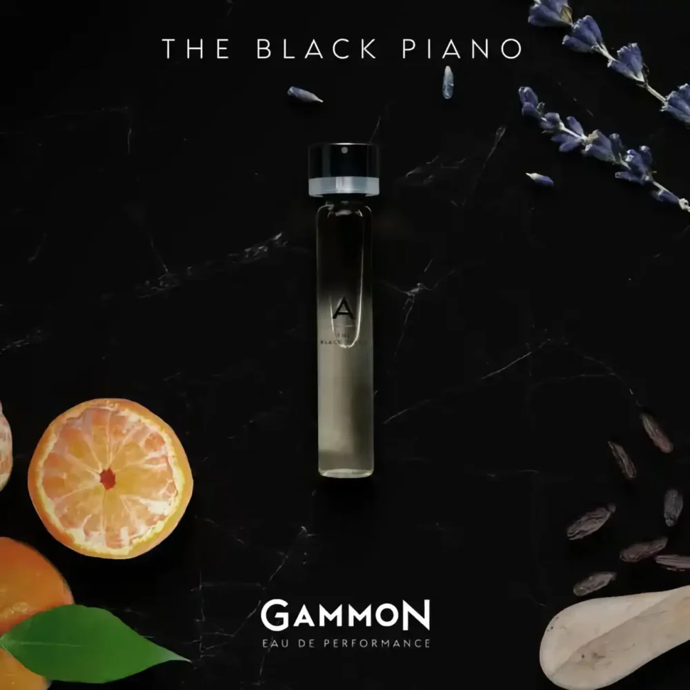 Gammon BLACK NOTES explorer set - set testerjev - 4us.si